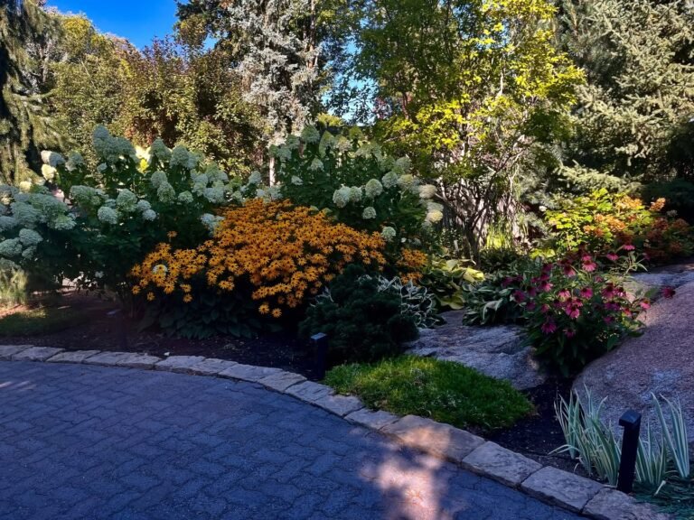 18 Beautiful Driveway Garden Ideas to Transform Your Entrance