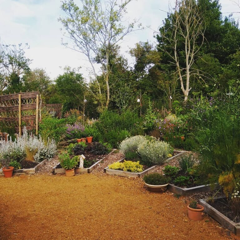 17 Community Garden Ideas | Inspiring Designs for Shared Green Spaces