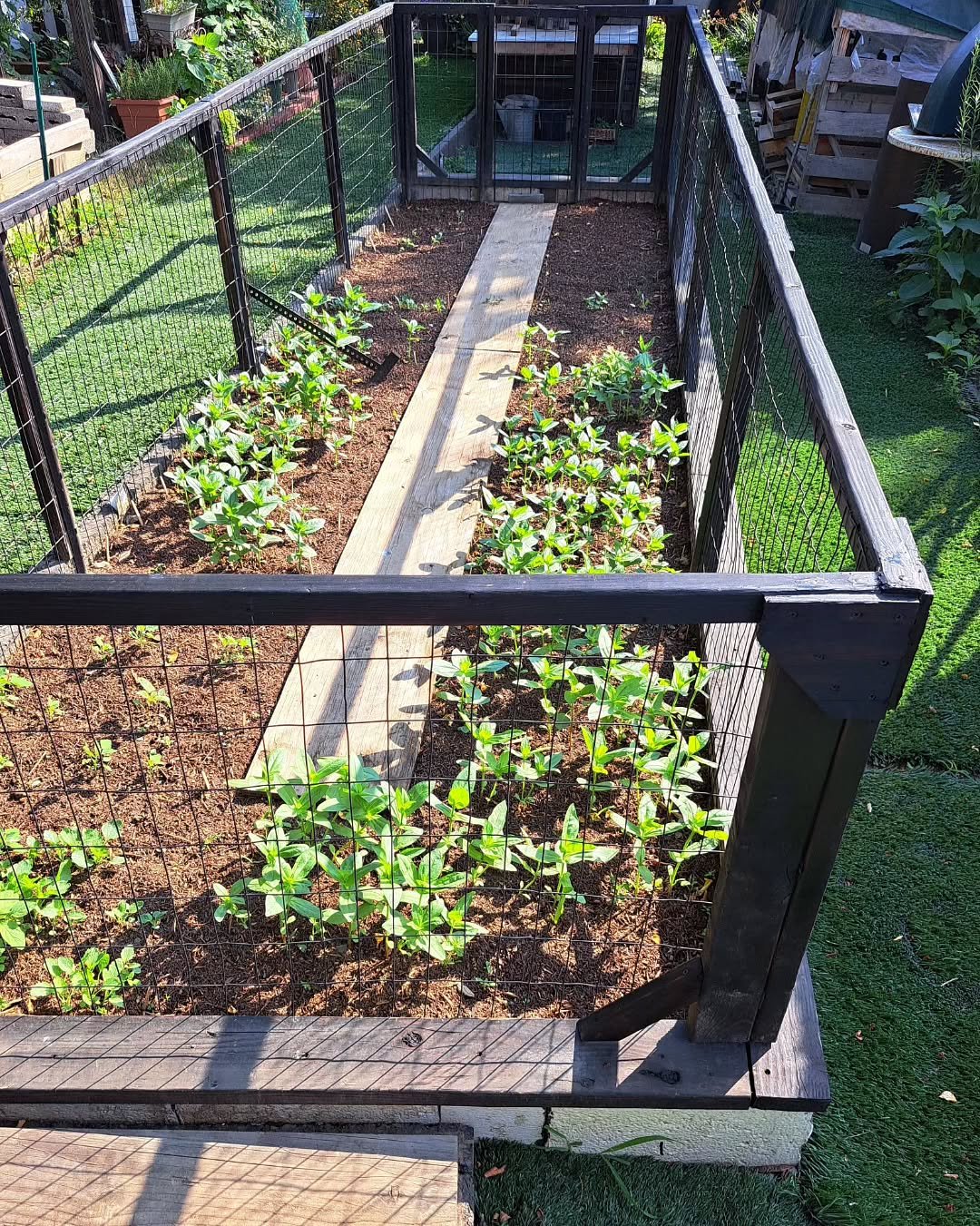 17 Community Garden Ideas | Inspiring Designs for Shared Green Spaces