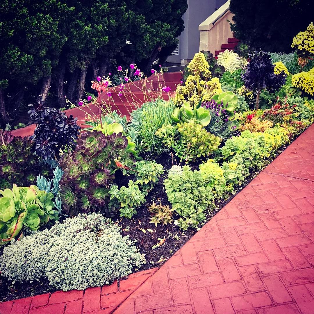 18 Beautiful Driveway Garden Ideas to Transform Your Entrance