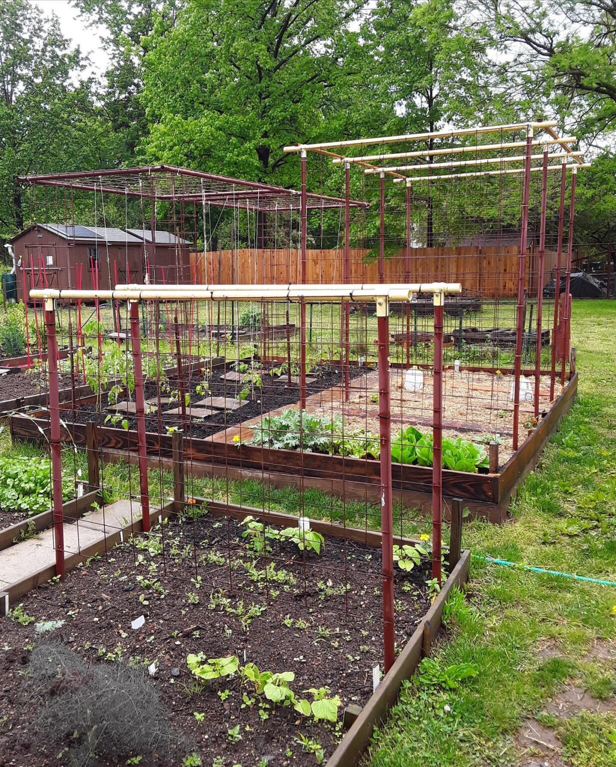 17 Community Garden Ideas | Inspiring Designs for Shared Green Spaces