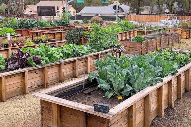 17 Community Garden Ideas | Inspiring Designs for Shared Green Spaces